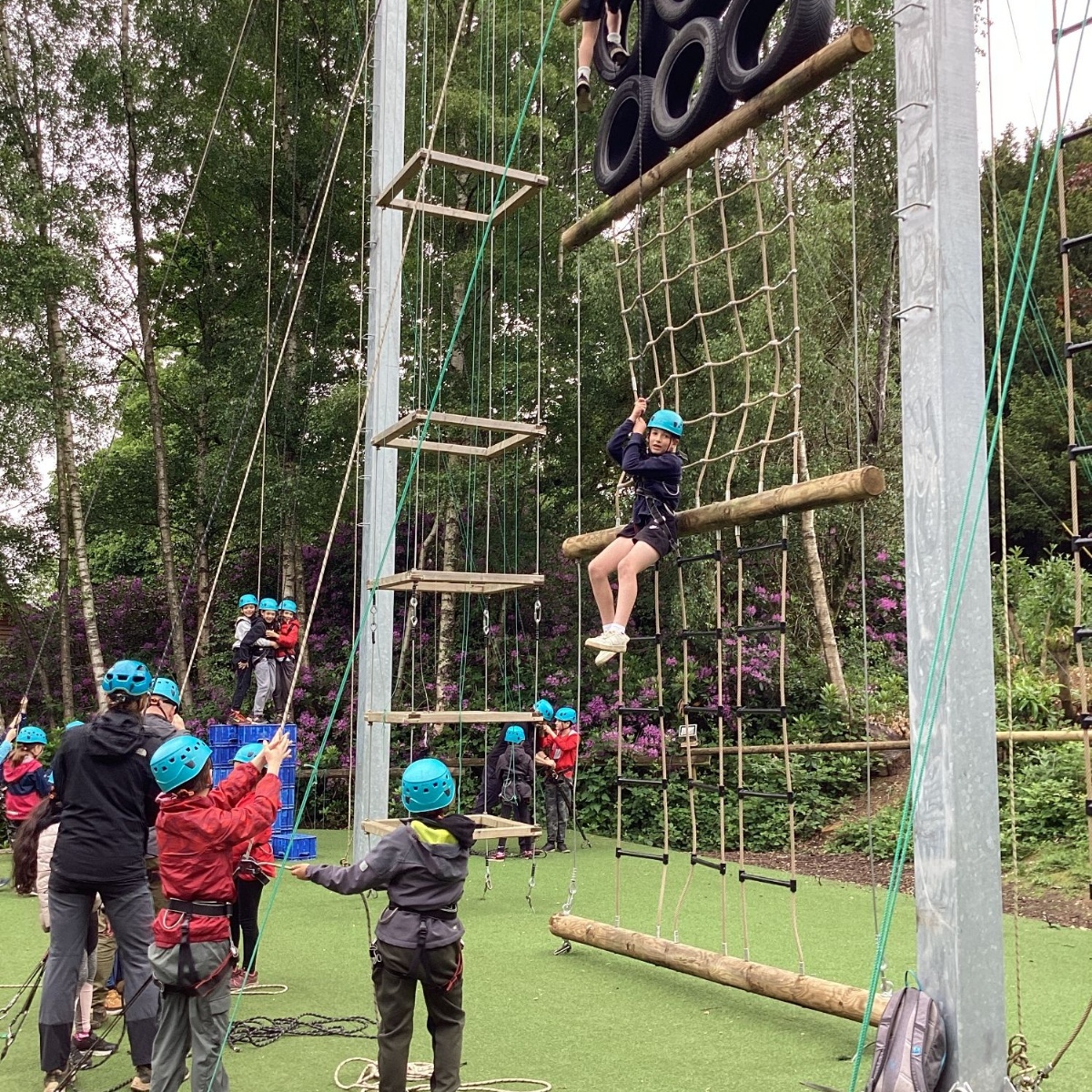 Cardinal Newman Catholic Primary School - Year 5 - High Ashurst